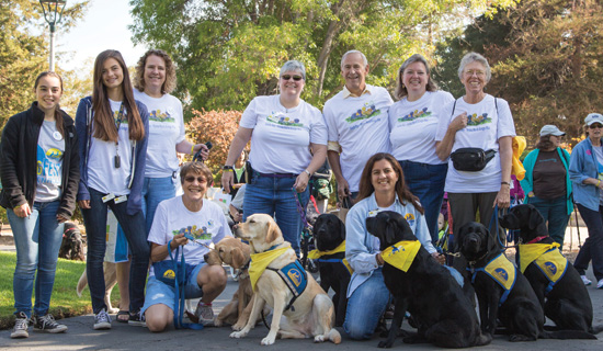 Our Values - Canine Companions