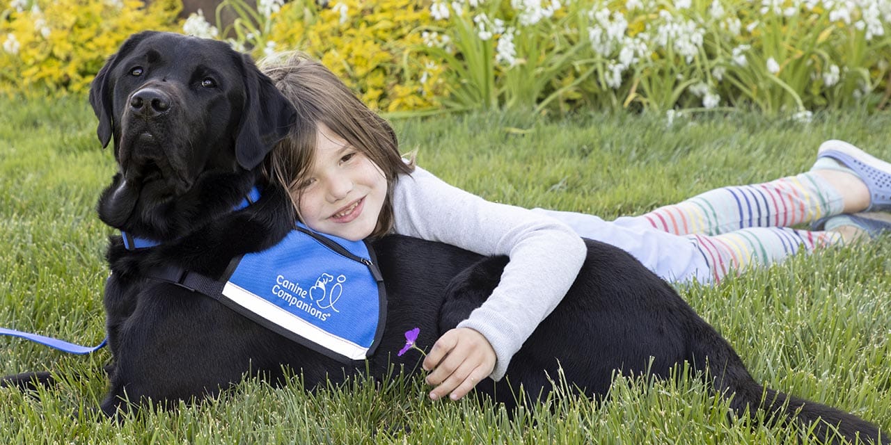 New Data Says Dog Parents Are Happier - Canine Companions