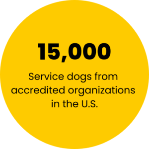 National Service Dog Month - Canine Companions