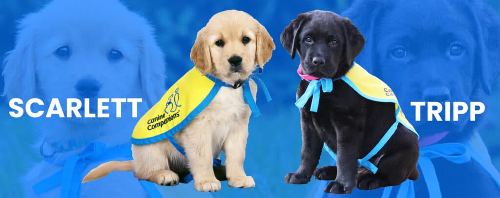 Sponsor a Puppy - Canine Companions