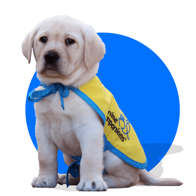 Sponsor a Puppy - Canine Companions