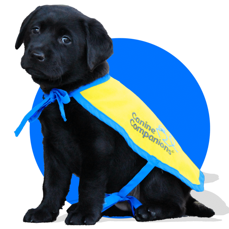 Sponsor a Puppy - Canine Companions