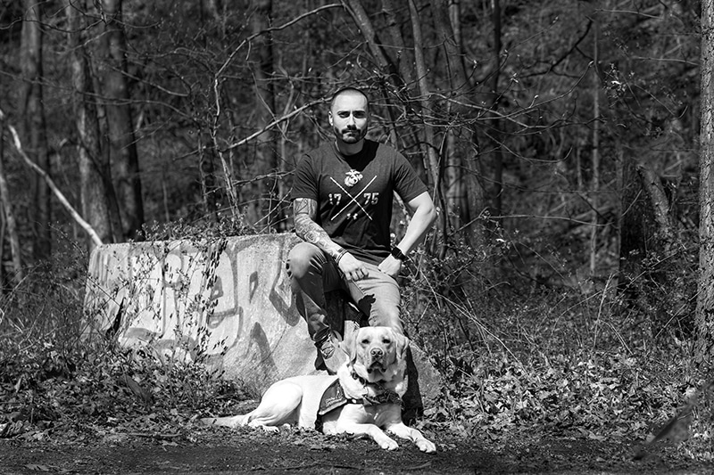Service Dogs for Veterans - Canine Companions