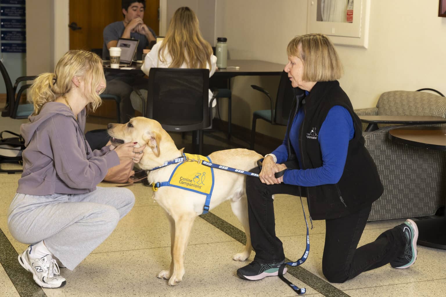 A Friendly Face Around Campus - Canine Companions
