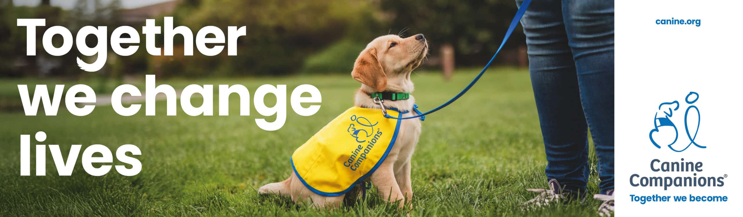 Public Service Advertising - Canine Companions