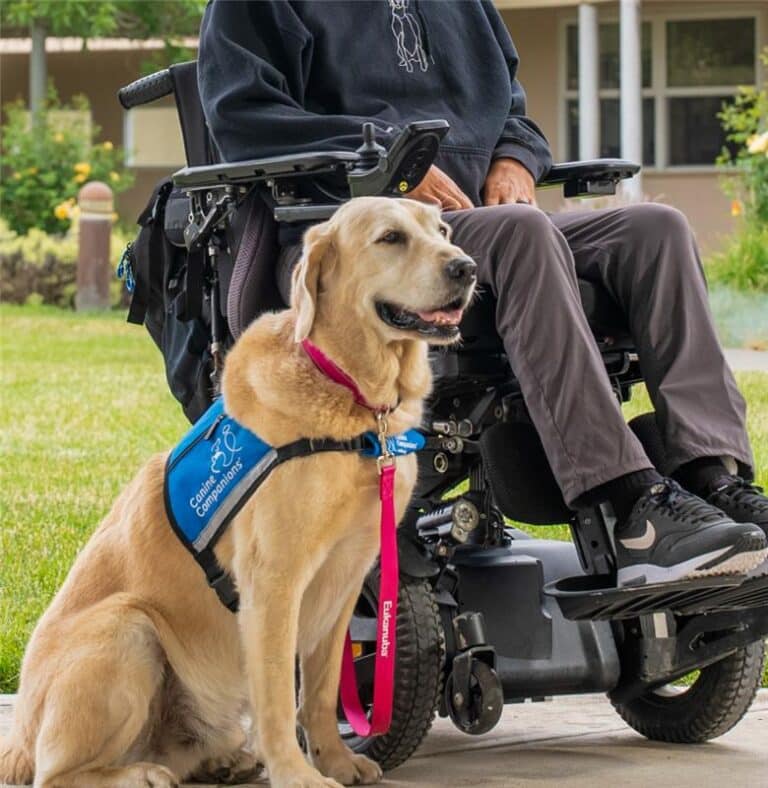 Eukanuba Celebrates National Service Dog Month, Chosen for Service with ...