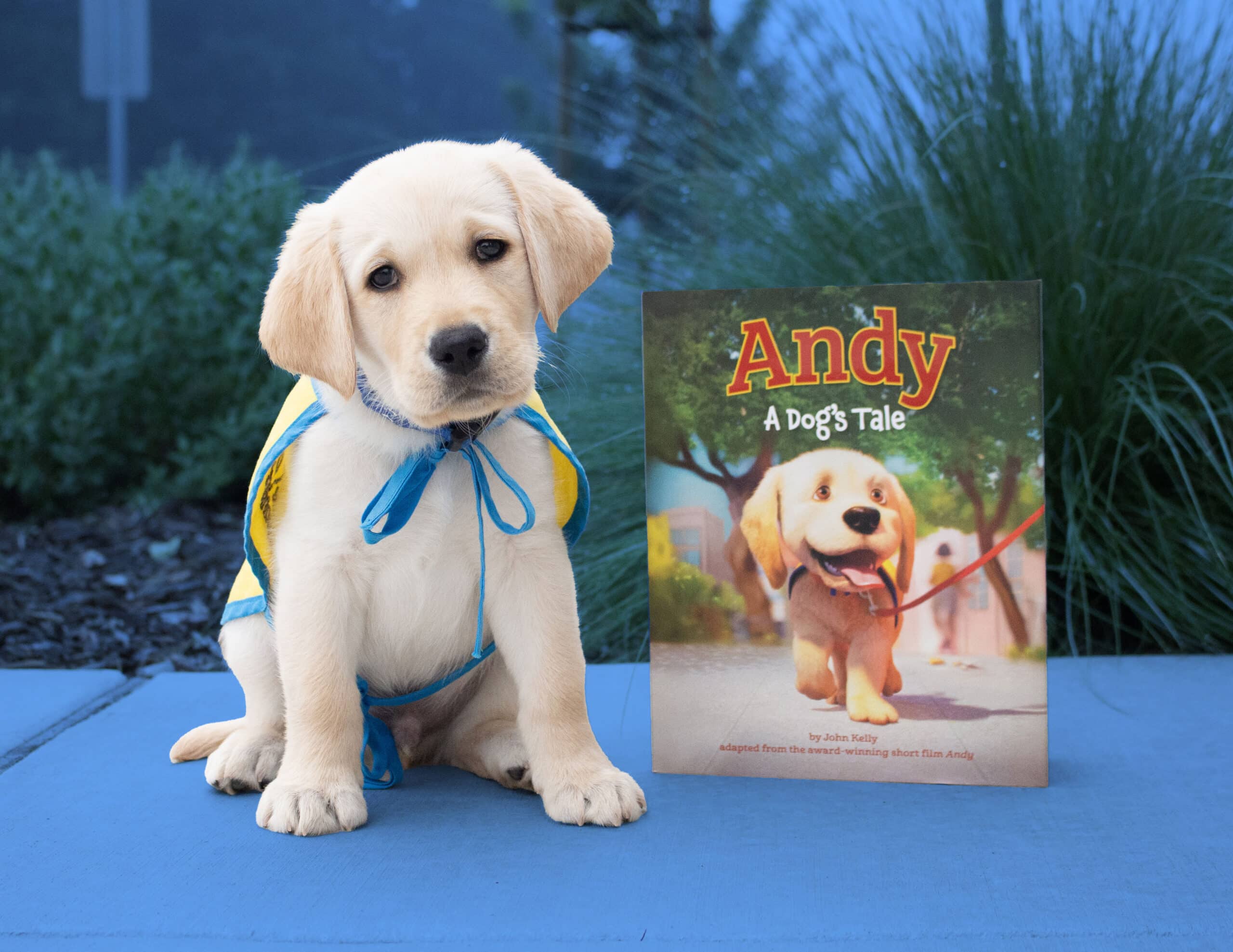 Home - Canine Companions